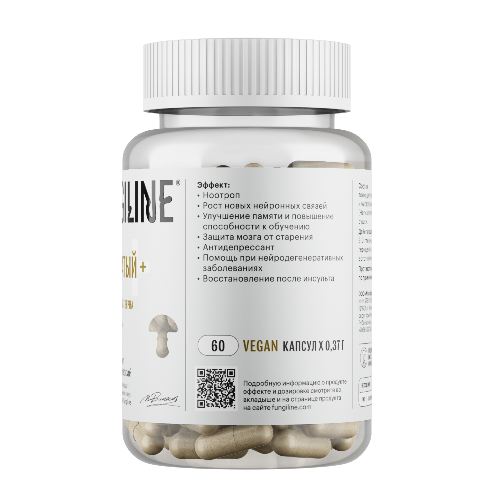 Fungiline – Natural mushroom supplements for your health – Natural ...