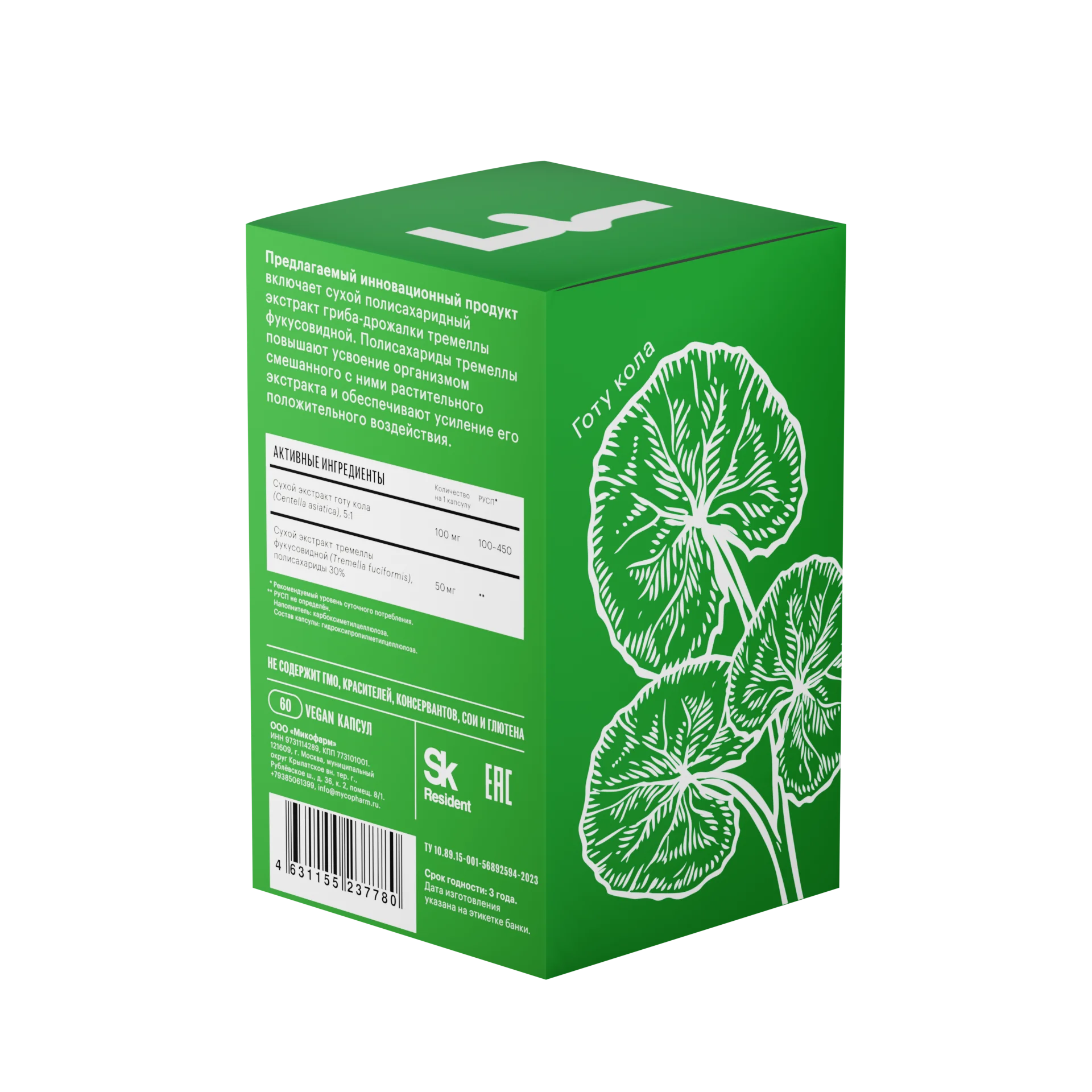 Artichoke • 60 capsules • Phytoline – Fungiline – Natural mushroom ...